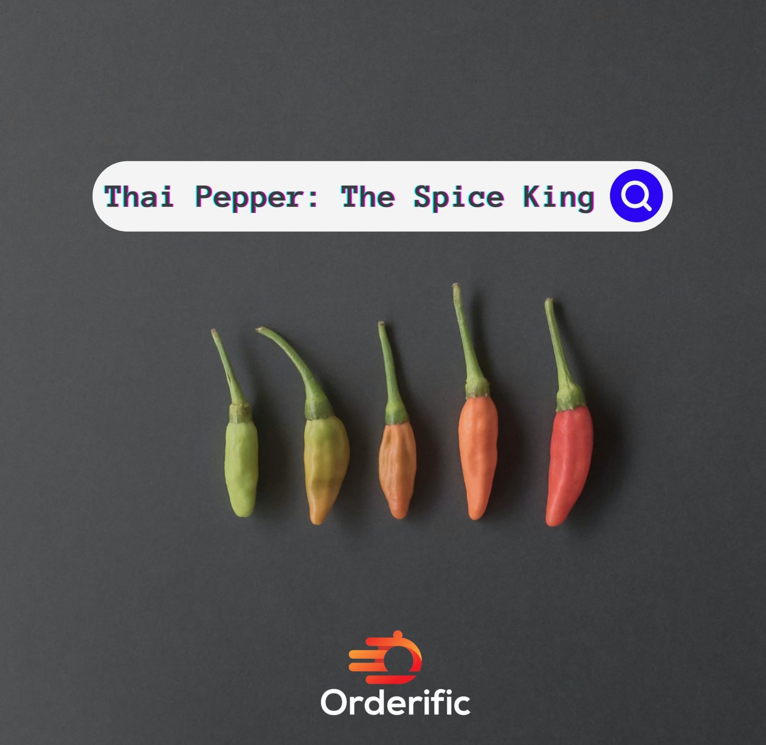 Thai Pepper is the Ultimate Spicy Chilli l Orderific