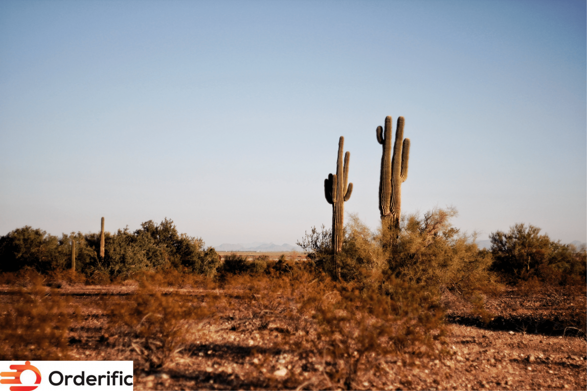 Minimum Wage in Arizona 2023: Updated Rates and Changes